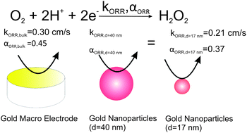 A kinetic study of oxygen reduction reaction and characterization on ...
