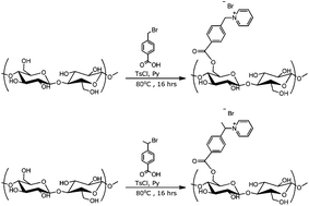 A facile one-pot route to cationic cellulose nanocrystals - Nanoscale ...
