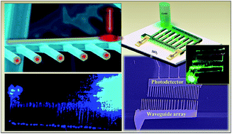 Integrated optical waveguide and photodetector arrays based on comb-like ZnO structures ...