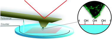 Nanoscopic polypyrrole AFM–SECM probes enabling force measurements ...
