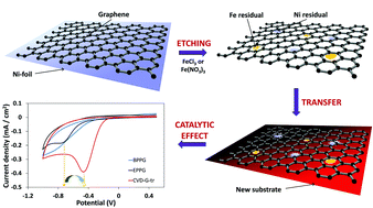 The CVD graphene transfer procedure introduces metallic impurities ...
