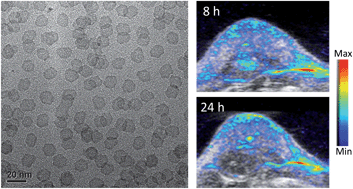 Palladium nanosheets as highly stable and effective contrast agents for ...