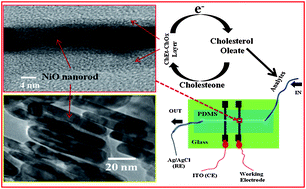 A highly efficient microfluidic nano biochip based on nanostructured ...