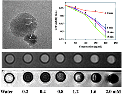 Multifunctional Fe3O4–TiO2 nanocomposites for magnetic resonance ...