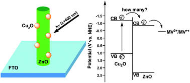 Carrier concentration-dependent electron transfer in Cu2O/ZnO nanorod ...