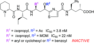Synthesis and structure–activity relationship studies of novel ...