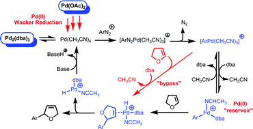 “Dba-free” palladium intermediates of the Heck–Matsuda reaction ...