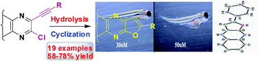 Transition metal free hydrolysis/cyclization strategy in a single pot ...