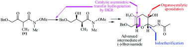 Enantioselective synthesis of δ-/γ-alkoxy-β-hydroxy-α-alkyl-substituted ...