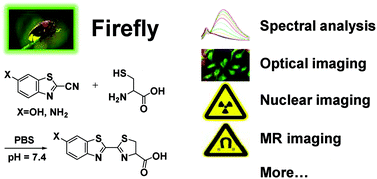 A biocompatible, highly efficient click reaction and its applications ...