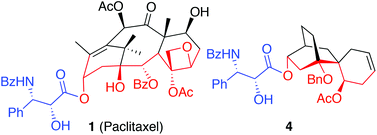 Spiro-bicyclo[2.2.2]octane derivatives as paclitaxel mimetics ...