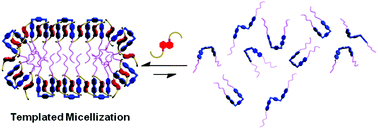 Template-directed self-assembly by way of molecular recognition at the ...