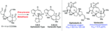 Construction of the basic skeleton of ophiobolin A and variecolin ...