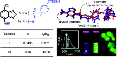 A fluorescent off–on NBD-probe for F− sensing: theoretical validation ...