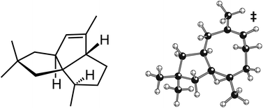 Pentalenene formation mechanisms redux - Organic & Biomolecular ...
