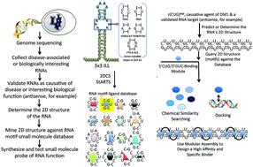 Methods to enable the design of bioactive small molecules targeting RNA ...