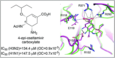 Synthesis, structure and inhibitory activity of a stereoisomer of ...