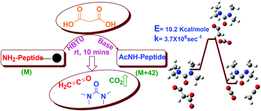 A highly efficient in situ N-acetylation approach for solid phase ...