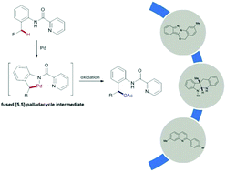 Palladium catalyzed acetoxylation of benzylic C–H bonds using a ...