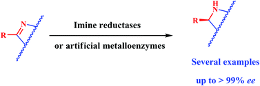Enantioselective imine reduction catalyzed by imine reductases and ...