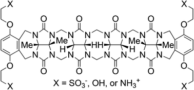 Acyclic CB[n]-type molecular containers: effect of solubilizing group ...