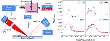 Transient absorption spectroscopy on spiropyran monolayers using ...