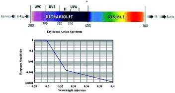 An empirical model of erythemal ultraviolet radiation in the city of ...