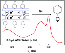 Laser flash photolysis study of photocatalytic properties of pillared ...