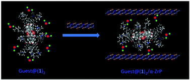 Photophysical studies of an encapsulated neutral guest intercalated ...