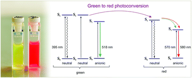 Excited state dynamics of the photoconvertible fluorescent protein ...