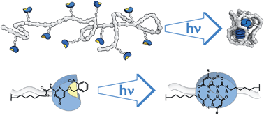 The balance between intramolecular hydrogen bonding, polymer solubility ...