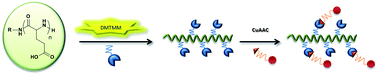 A versatile post-polymerization modification method for polyglutamic ...