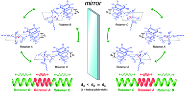 Helix oscillation of polyacetylene esters detected by dynamic 1H NMR ...