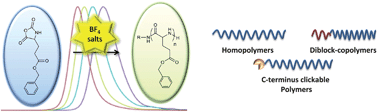 A controlled and versatile NCA polymerization method for the synthesis ...