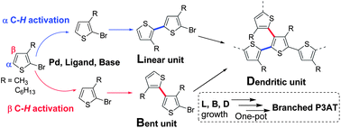 Chemistry Polymer Branching