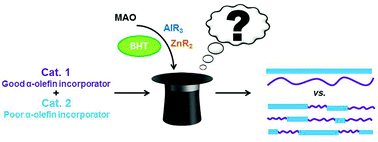 Exploration of the effect of 2,6-(t-Bu)2-4-Me-C6H2OH (BHT) in chain ...