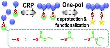 Evaluation of thiocarbonyl and thioester moieties as thiol protecting ...