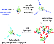 Dual pH- and temperature-responsive RAFT-based block co-polymer ...