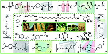 The quest for sustainable polyesters – insights into the future ...