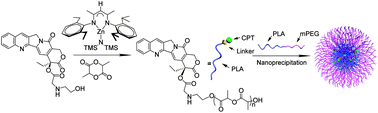 Anticancer camptothecin-N-poly(lactic acid) nanoconjugates with facile ...