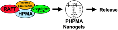 Poly[N-(2-hydroxypropyl)methacrylamide] nanogels by RAFT polymerization ...