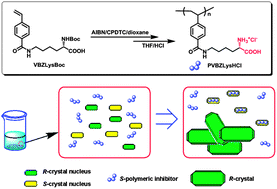 Controlled synthesis of chiral polymers for the kinetic resolution of ...