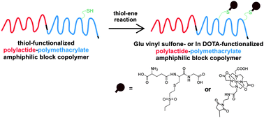 Facile synthesis of thiol-functionalized amphiphilic polylactide–methacrylic diblock copolymers ...