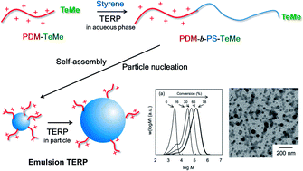 Emulsifier-free, organotellurium-mediated living radical emulsion ...