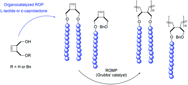 Synthesis and polymerization of cyclobutenyl-functionalized polylactide ...