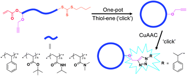 Synthesis of alkyne functional cyclic polymers by one-pot thiol–ene ...