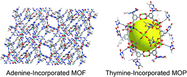 Design and synthesis of nucleobase-incorporated metal–organic materials ...