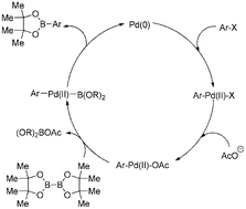 A decade advancement of transition metal-catalyzed borylation of aryl ...