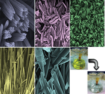 Reusable surface confined semi-conducting metal-TCNQ and metal-TCNQF4 ...