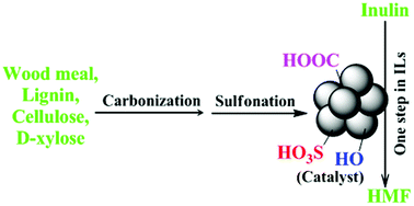 Preparation of biomass hydrochar derived sulfonated catalysts and their ...